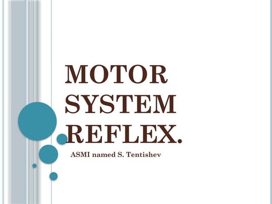 Motor System.pptxffffrrreeew22211tfcsyehe | PPT