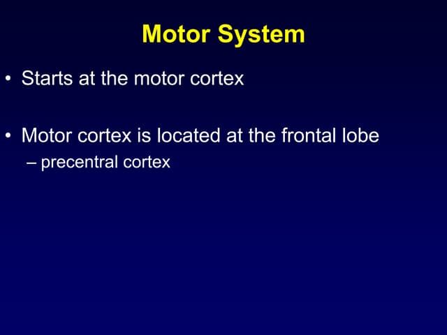 MOTOR SYSTEM MOTOR TRACTS | PPT