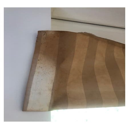 Mould Images Living Room Bedroom Wardrobe.pdf