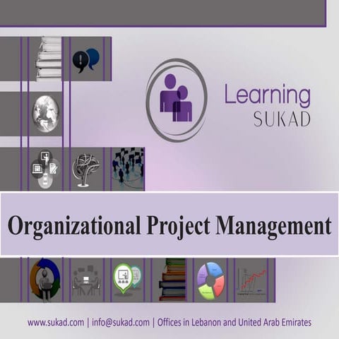 Organizational Project Management; short workshop | PDF