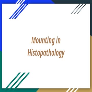 Preparation of Temporary Slides.pptx