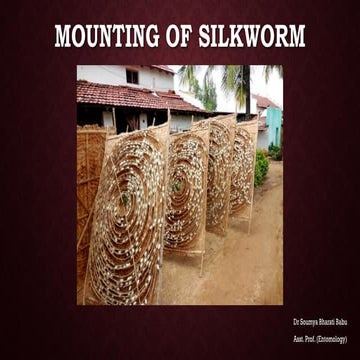 Comprehensive Guide to Cocoon Processing and Silk Reeling Techniques | PDF