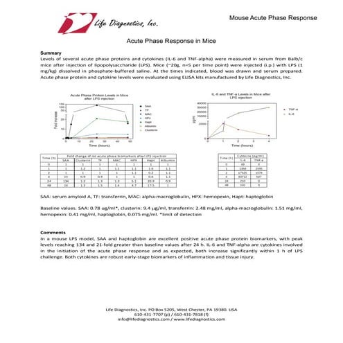Mouse acute phase response life diagnostics | PDF | Blood Disorders ...