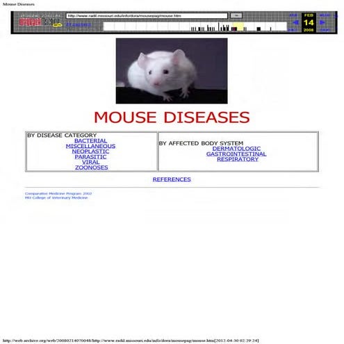small Mouse diseases | PDF
