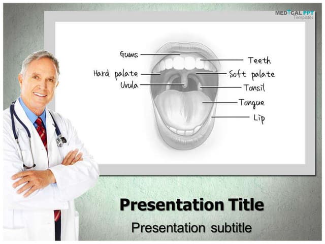 Face Anatomy PowerPoint Templates | PPTX