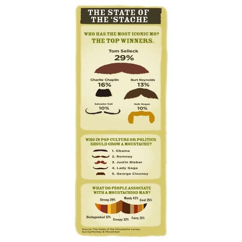 Movember: The State of the 'Stache | PDF