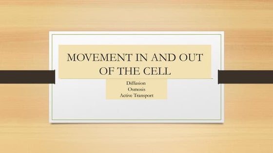 Filtration, diffusion, and osmosis | PPTX | Chemistry | Science
