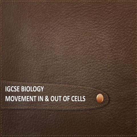 Movement in & Out Cell.ppt