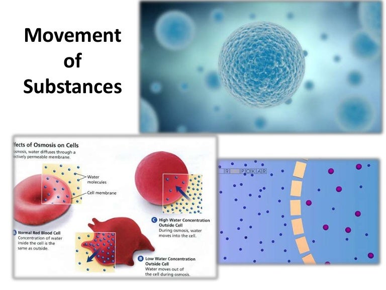 Movement of substances