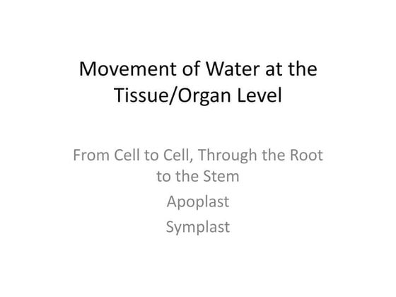 Ib biology ia properties of water | DOCX