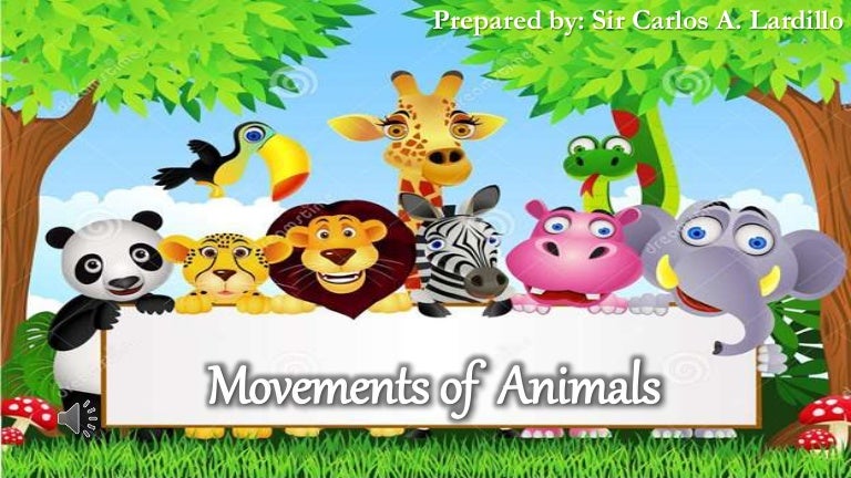 Movements of Animals