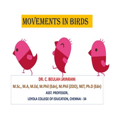 Movements in birds | PDF