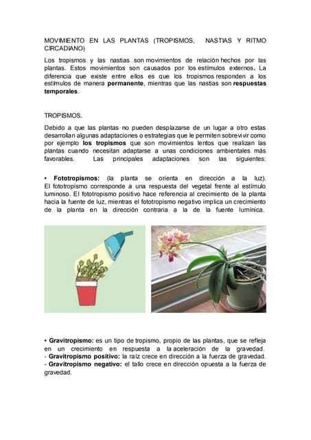 Hoja De Trabajo Sobre Los Tropismos De Las Plantas GUIA PEDAGOGICA