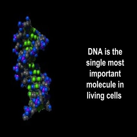 Moving dna | PPT