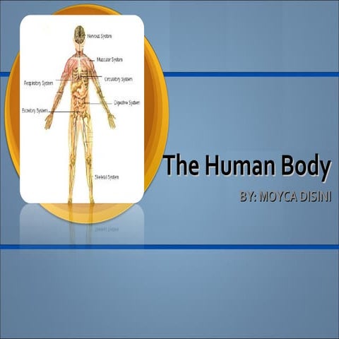 Inside the human body | PPTX