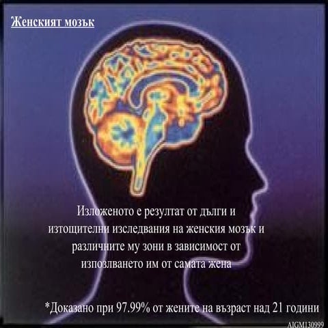 Централна нервна система | PPTX