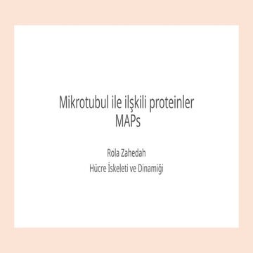 MPA. Rola.pptx.......................... | PPTX