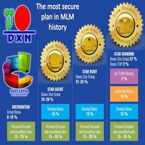 DXN Marketing Plan - Pavlos - 500000184 | PDF