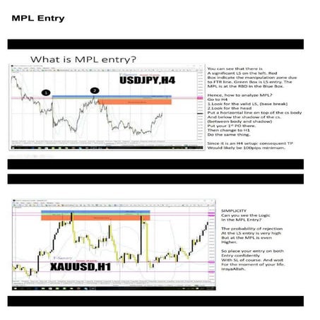 Mpl entry | PDF