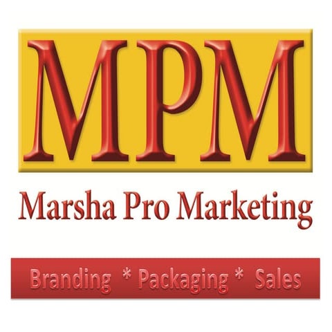 MPM Product Development and Launch 2011 | PDF