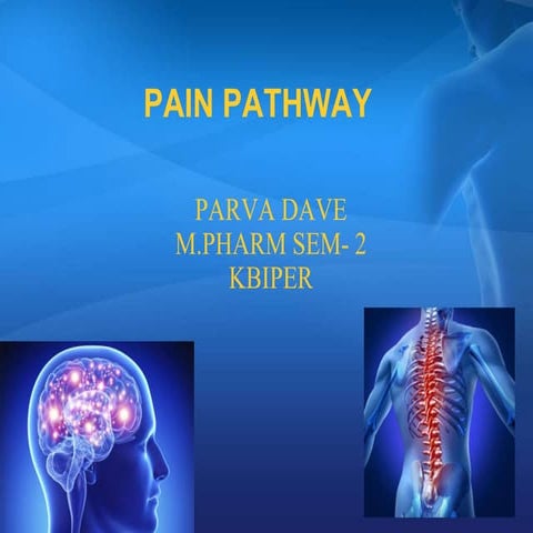 Pain anatomy and physiology | PPTX