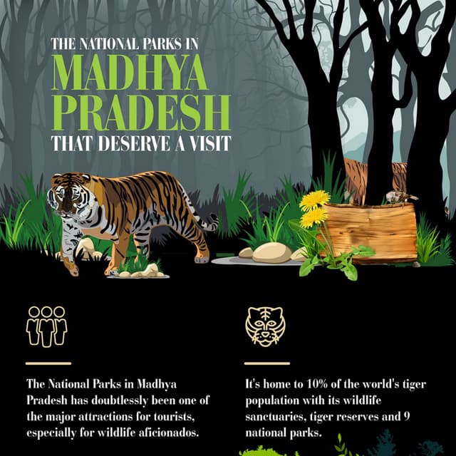 Top 4 National Parks in Madhya Pradesh - A Must Visit For WildLife ...