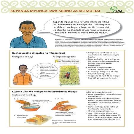 Mpunga rice-swahili_ | PDF