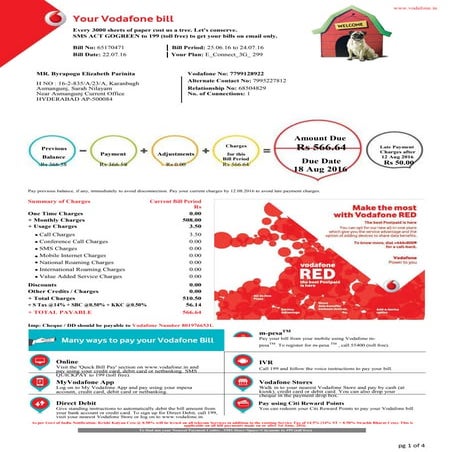 vodafone application | PDF