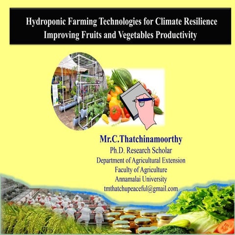 Hydroponic Farming Technologies for Climate Resilience Improving Fruits ...
