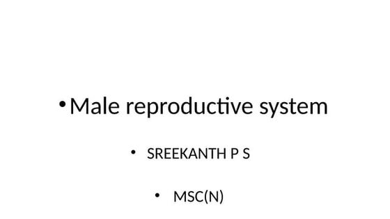 Male reproductive system | PPT