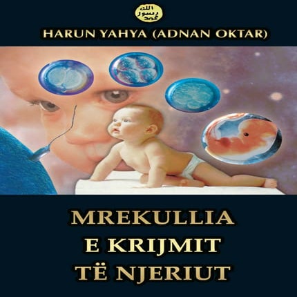 Mrekullia e krijimit të njeriut. albanian (shqip) | PDF