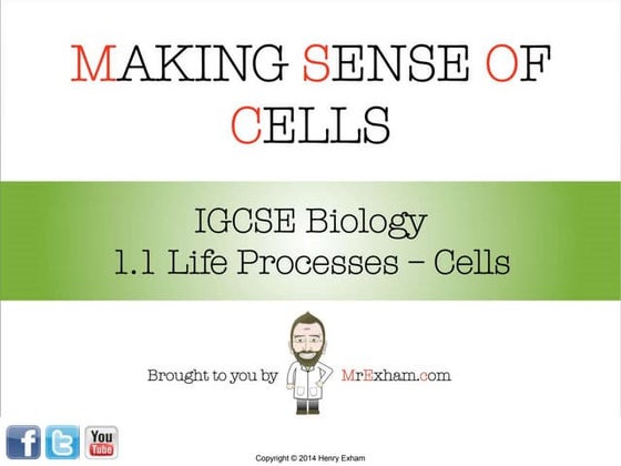 Cambridge IGCSE Biology Cells Structures & Functions.pptx | Biological Sciences | Science