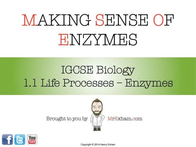 GCSE Biology Enzymes | PPT