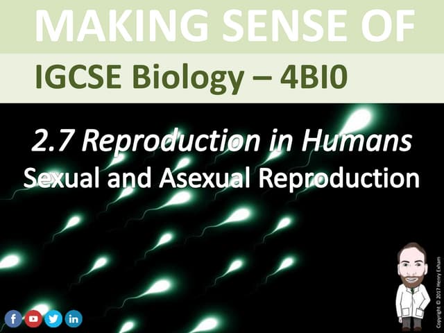 Mrs gren and kingdoms | PPT