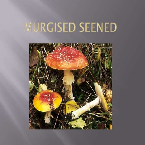 Mürgised seened | PPT