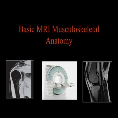 MRI slides, second yr students 2008 | PPT