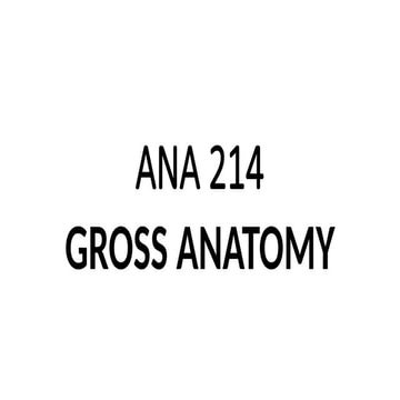Posterior abdominal wall | PDF