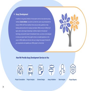 Assay Development | PPT