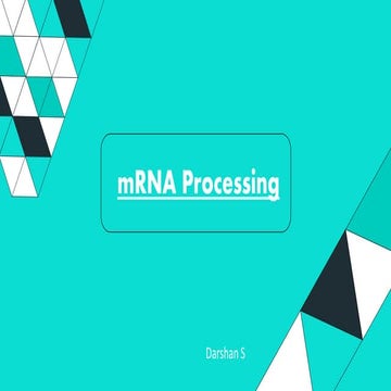 mRNA processing | PPTX