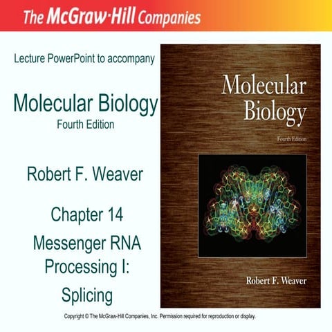 mRNA processing Lecture Note Presentation.ppt