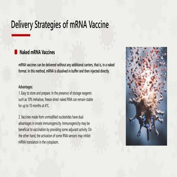 mRNA vaccine-10 | PPT