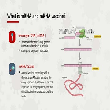 mRNA vaccine-9 | PDF