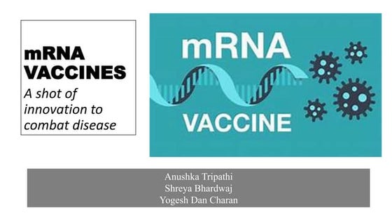 mRNA Vaccine - Creative Biolabs | PPT