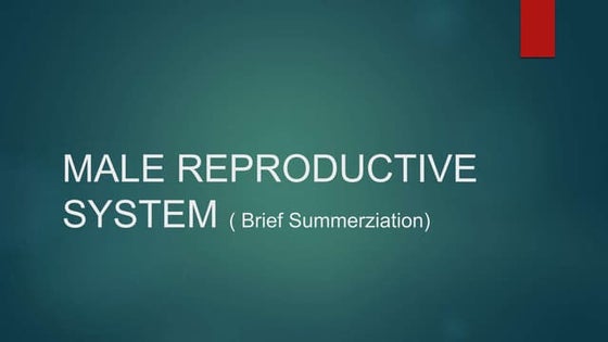 Female reproductive system | PPT