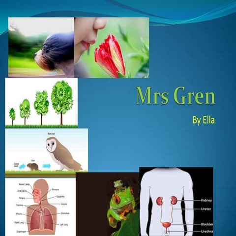 Mrs gren ella | PPT