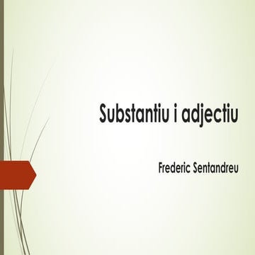 MS01 Substantiu i adjectiu (morfosintaxi i semàntica | PDF