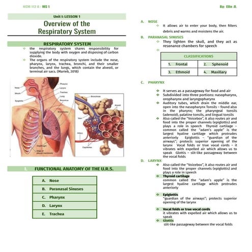 MS 1 (Lec).pdf