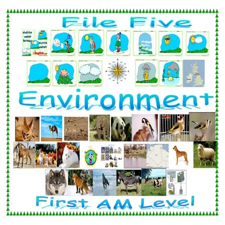 Ms1 level file 5 environment according to atf & aef | PPT