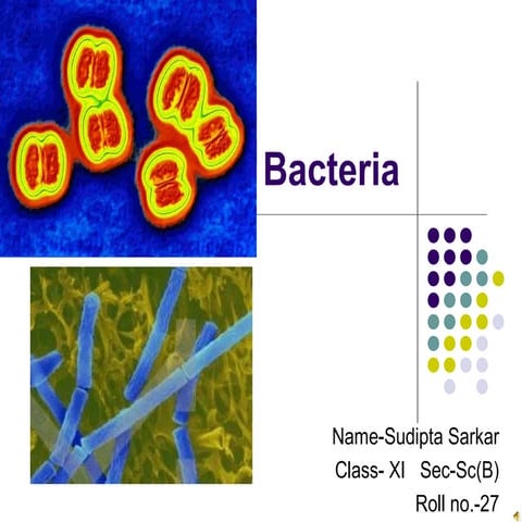 INVESTIGATORY PROJECT ON BACTERIA | PPT