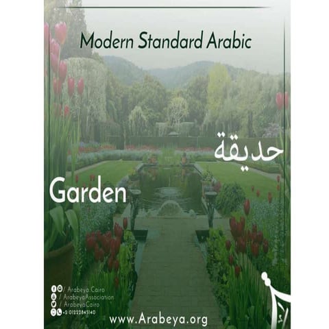 Learn Modern standard Arabic (msa) with Arabeya | PPTX